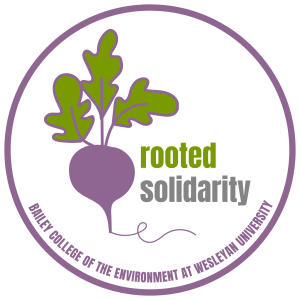 Haitian Rice Workers & Caribbean Sugarcane (Y) – FRESH New London